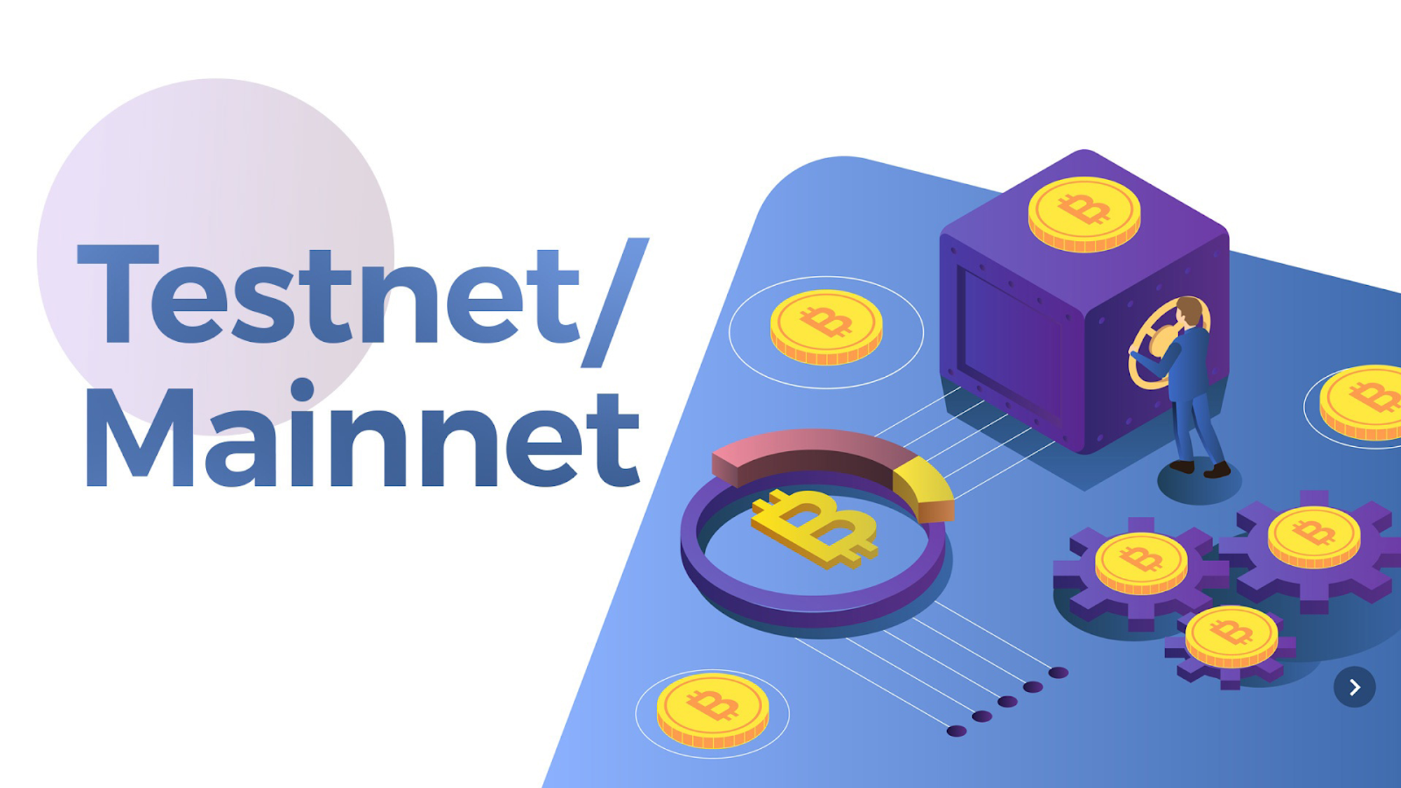 Mainnet vs. Testnet, Explained | Ready